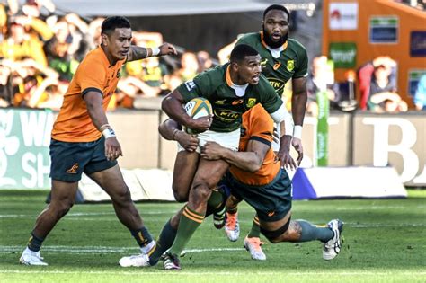 Bok Flyhalf Willemse Set To Miss Argentina Rematch