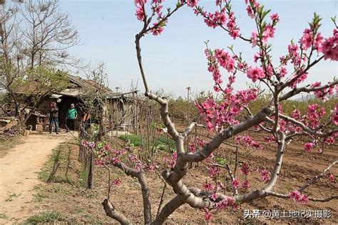 山西農村76歲老人不住家裏高樓房，蝸居田園30年，看生活成啥樣 每日頭條
