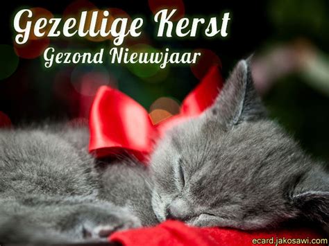Jakosawi Gratis Wenskaarten E Cards Gezellige Kerst 1602
