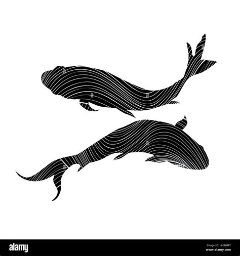 Pisces Zodiac Sign On White Background Stock Vector Image And Art Alamy