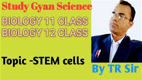 Stem Cells Youtube