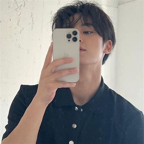 Seventeen Svt Mingyu Aesthetic Lq Icons Pfp Kpop Bg Mirror Selca Selfie In 2022 Mingyu Mingyu