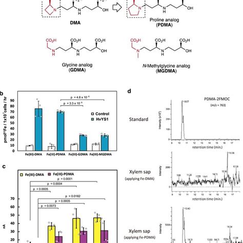 Kosuke Namba Professor Full The University Of Tokushima Tokushima Graduate School Of