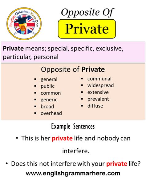 Opposite Of Private Antonyms Of Private Meaning And Example Sentences