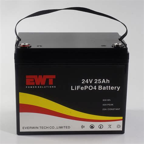 High Safety And Efficiency Lfp 24v Battery With Built In Bms Maximum
