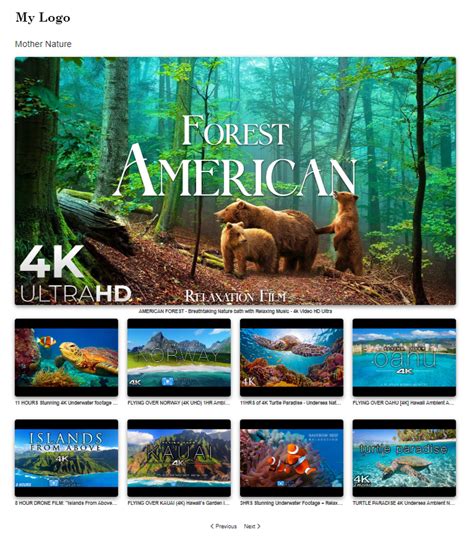 How To Customize YouTube Gallery Layout On WordPress ELEXtensions