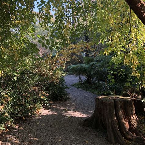 Chiusura Di SantAmbrogio Orti Botanici Unimi