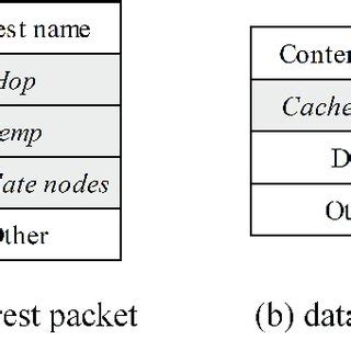 Extended Structure Of Interest Packet And Data Packet Download Scientific Diagram