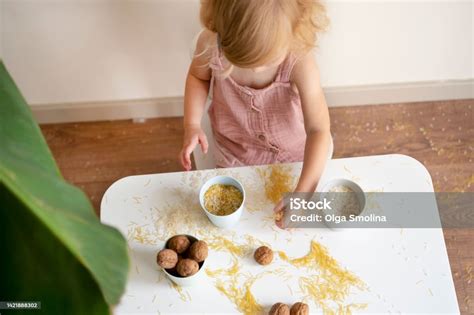 아기 소녀 테이블에서 곡물 견과류 파스타 및 쌀을 가지고 노는 유아 감각 조기 발달 아기 어린이를위한 교육 아이 유용한 게임