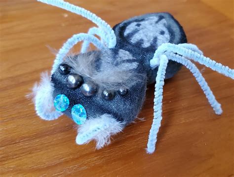 Jumping Spider 9 Steps With Pictures Instructables