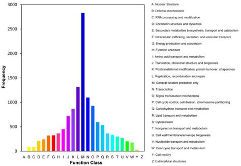 Cog Annotations Of Putative Proteins All Putative Proteins Were