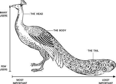 Congratulations The Png Image Has Been Downloaded Illustration Of A Peacock With The Head The