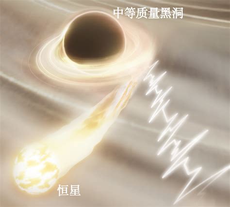 科学家首次探测到中等质量黑洞吞噬恒星的“心跳”—新闻—科学网