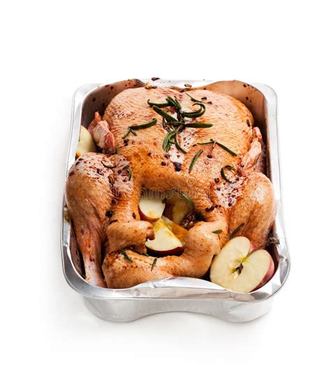 Raw Whole Duck With Spices Stuffed With Apples In A Roasting Ov Stock