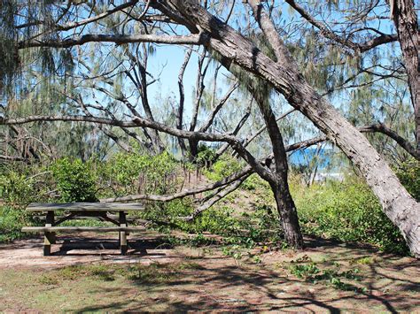 Fort Bribie Day Use Area Bribie Island National Park And Recreation