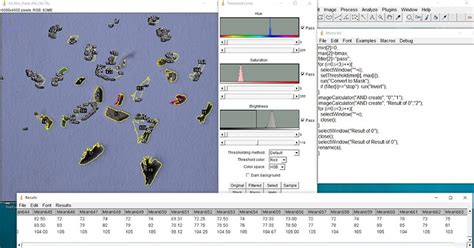 finding average rgb of a particle in an image with imagej image