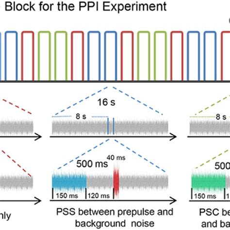 Experimental Design For Measuring Ppi Magnitudes Each Block Comprised