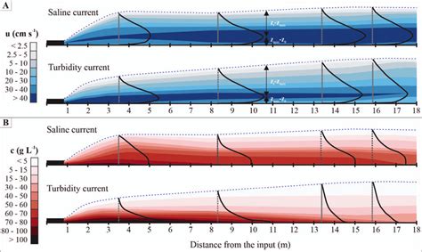 Spatial Distribution Of A Velocity Cm S 1 And B Concentration G