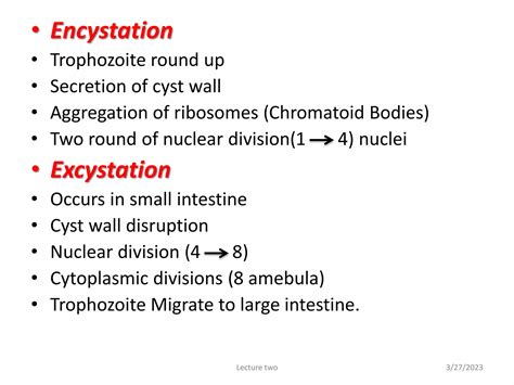 Classification Of Medical Parasitology Lec 2 Pptx