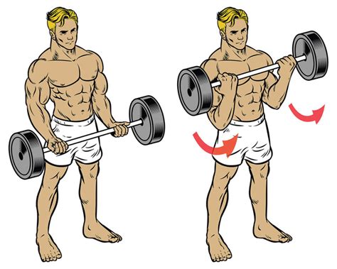 Curl Braccia Per Il Potenziamento Delle Braccia La Palestra