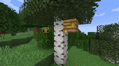 How To Get Honeycomb In Minecraft