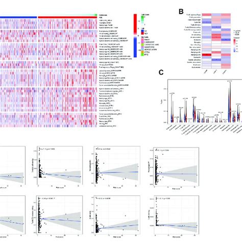 Relationship Between Risk Score And Tumor Infiltration Immune Cells In
