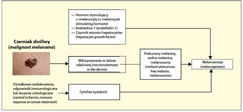 Diffuse Cutaneous Melanosis Mazur Forum Dermatologicum