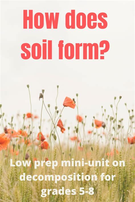 Decomposition Mini Unit Powerpoints Worksheet Lesson Plans For 8 Days Middle School