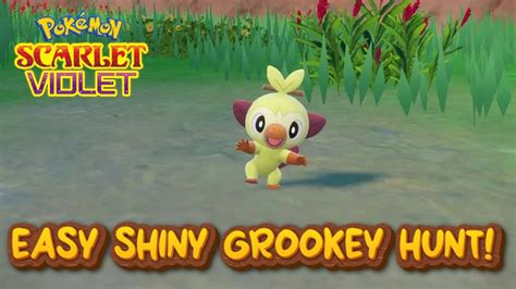 How To EASILY Shiny Hunt Grookey In Pokemon Scarlet And Violet The