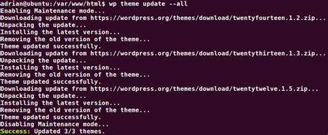 Cómo instalar wp cli para administrar WordPress desde la terminal