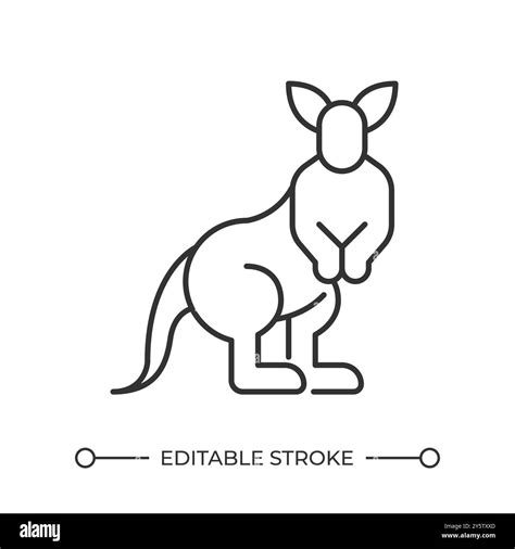 kangaroo linear icon stock vector image and art alamy