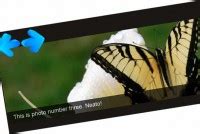 Website On The Infinite Canvas With JQuery Plugin Text Slideshow