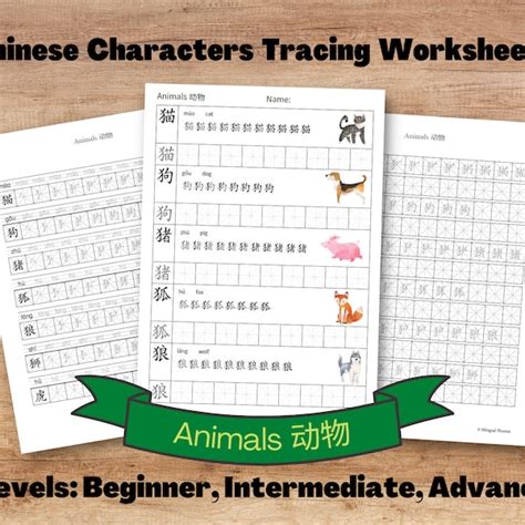 Chinese Characters Worksheets Etsy