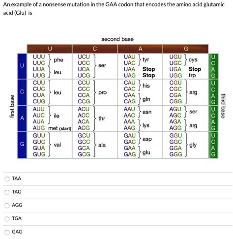 Solved An Example Of A Nonsense Mutation In The Gaa Codon That Encodes