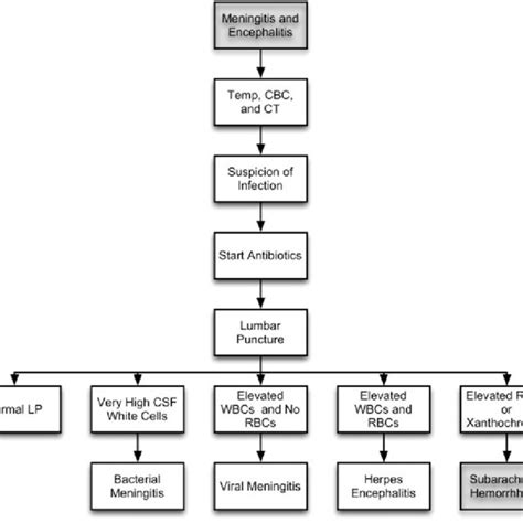 Enls Meningitis And Encephalitis Protocol Download Scientific Diagram