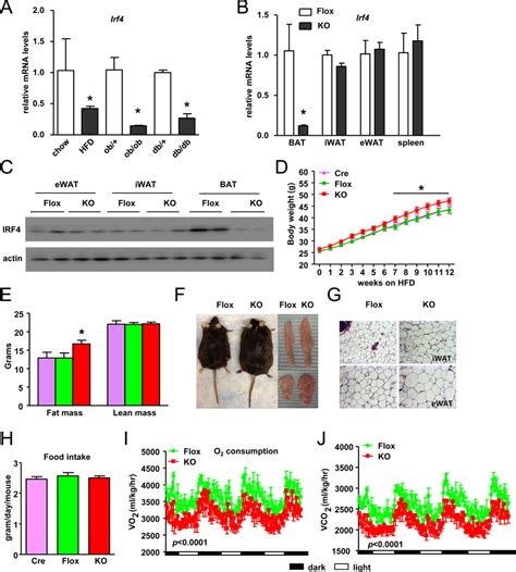 Irf4 Is A Key Thermogenic Transcriptional Partner Of Pgc 1α Abstract