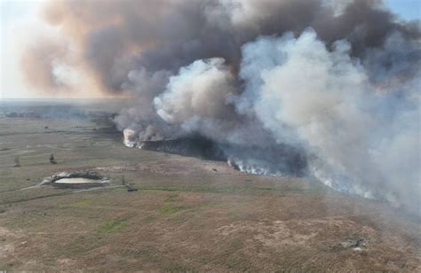 Між Коломацьким та Ковалівкою вигоріло 15 га сухої рослинності — пожежу гасили 97 рятувальників