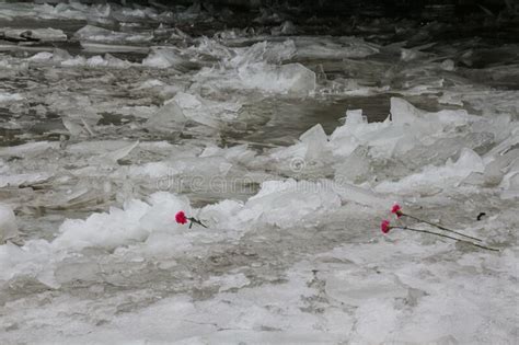 Russia St Petersburg Spring Ice Drift On The Neva River Ice Close