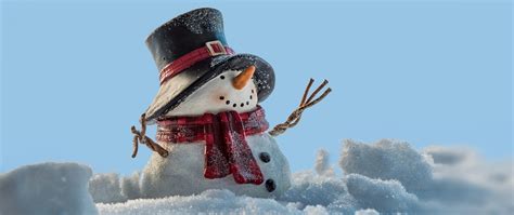 Real Snowman Background