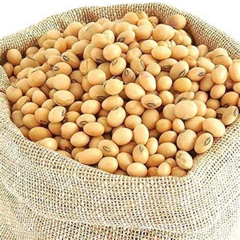 Raw Soya Bean 50 Kg Jute Bag At Best Price In Dindigul Id