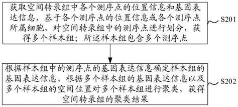 空间转录组的聚类方法、装置、设备及介质与流程