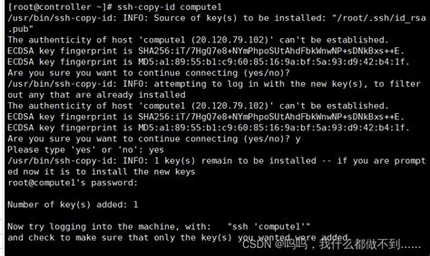 基于packstack部署多节点的openstack（附文档） packstack添加计算节点 csdn博客