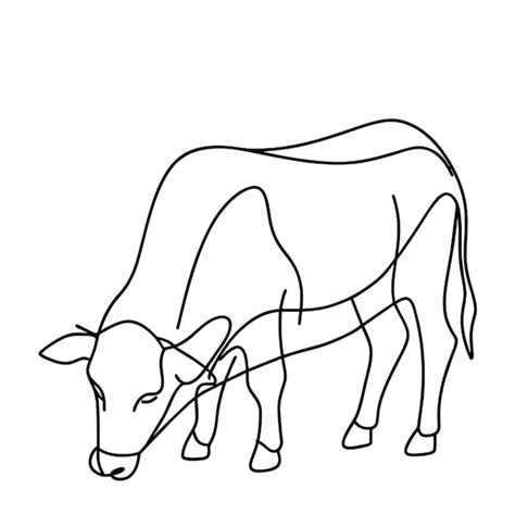 Premium Vector Cow Eats Grass In One Continuous Line Drawing