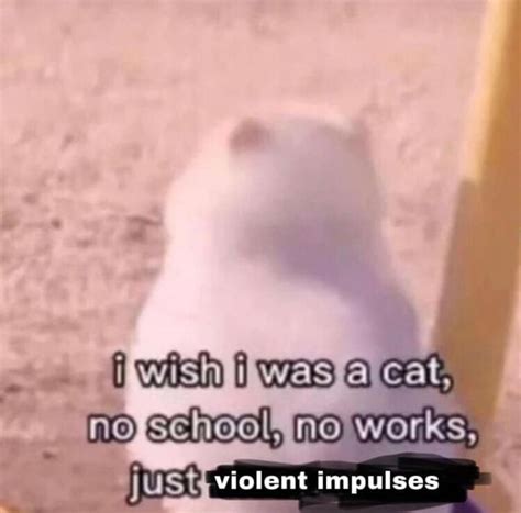 Grumpy Cat No Work