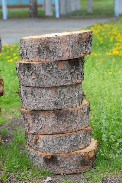 Premium Photo Cross Section Of Tree Trunk Showing Growth Rings