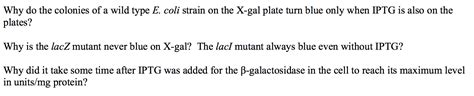 Solved Why Do The Colonies Of A Wild Type E Coli Strain On