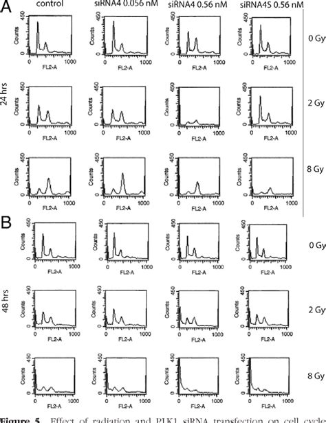 Figure 1 From Tumorigenesis And Neoplastic Progression Polo Like Kinase