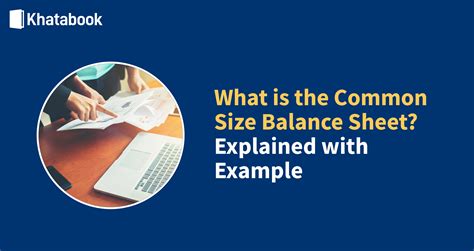 Learn About Common Size Balance Sheet And Its Format Analysis With Example