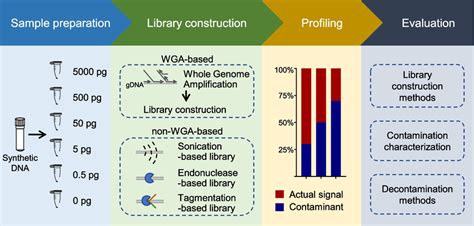 Overview Of The Experiment Design Wga Whole Genome Amplification