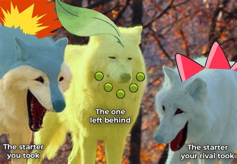 Choosing Starters Laughing Wolves Know Your Meme